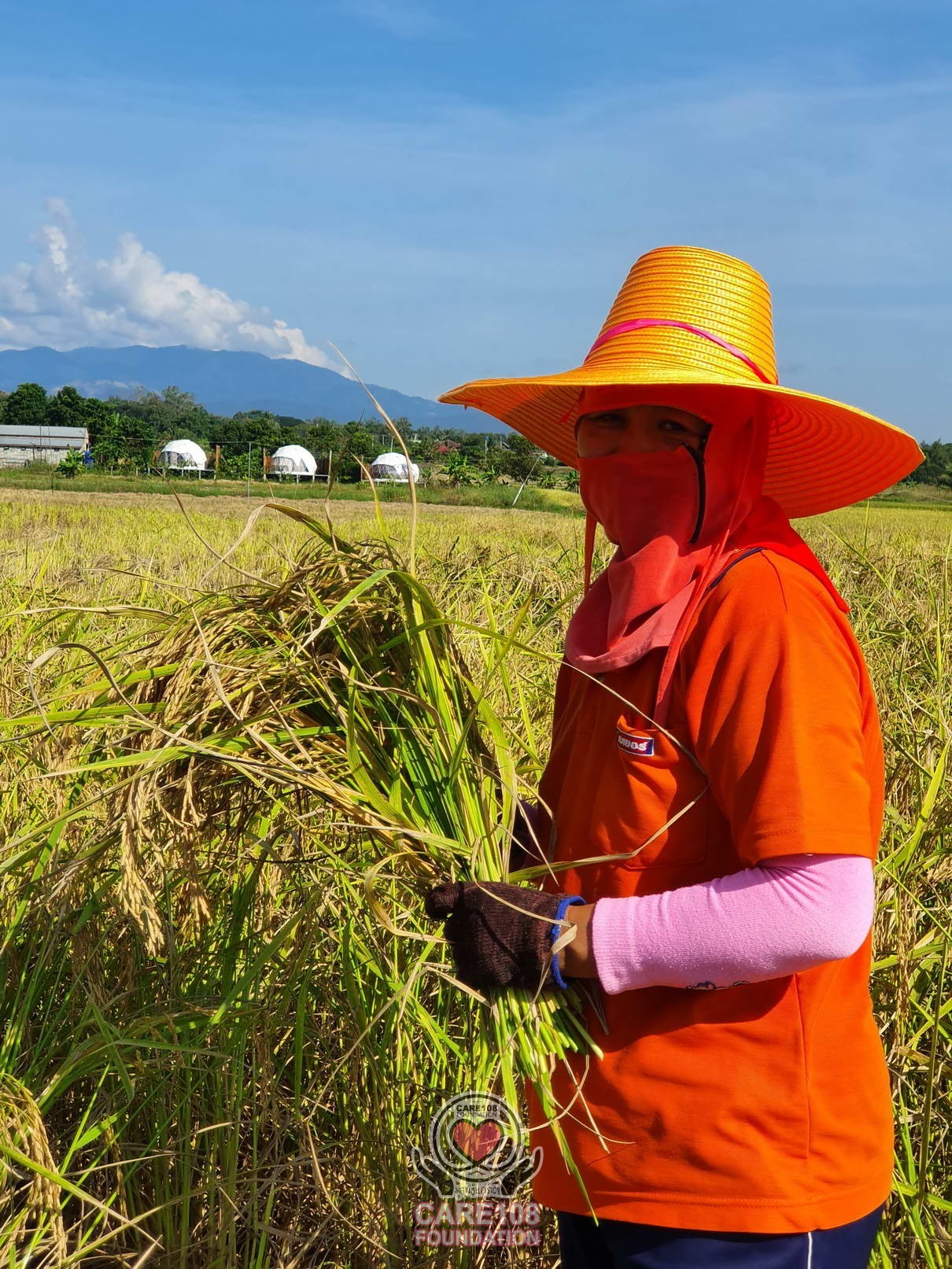 Rice Project Harvest 2022 - Care108 Foundation