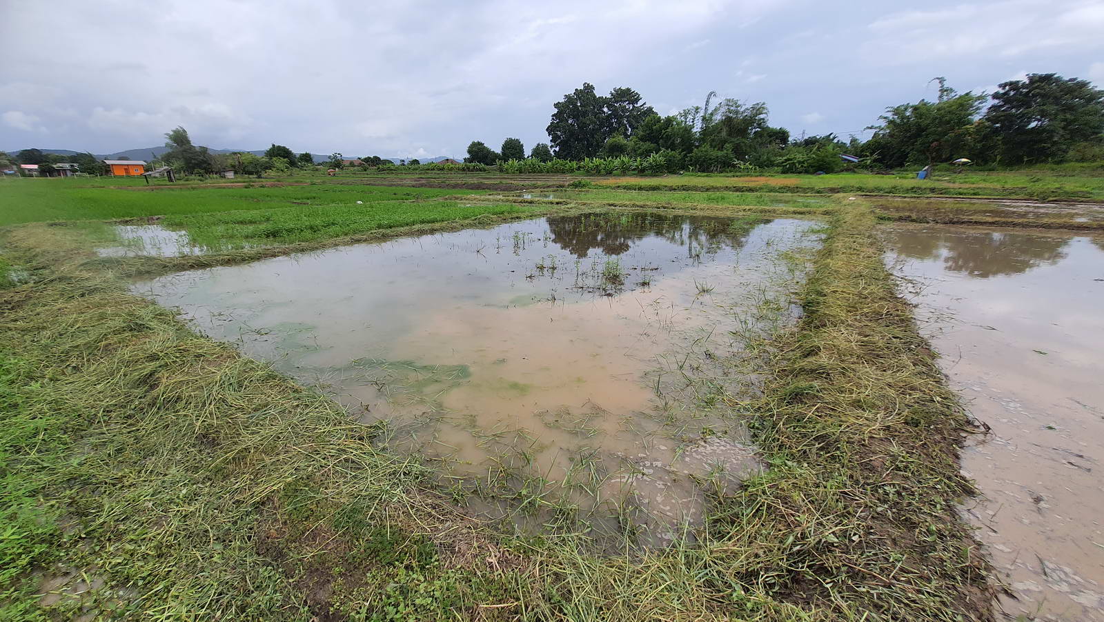 Trip 322 Rice project stage1 - Care108 Foundation